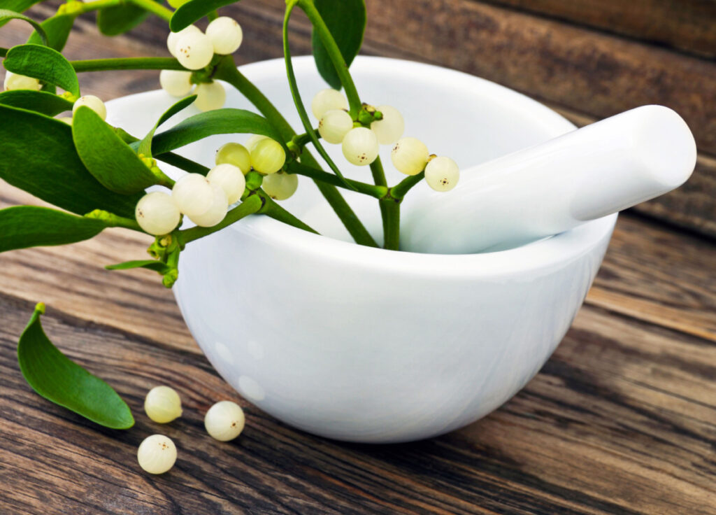 Mistletoe Therapy - Higher Health Naturopathic Centre and IV Lounge